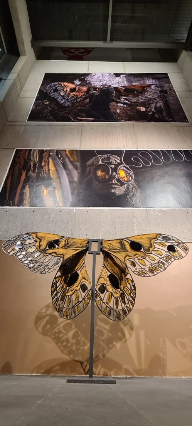 Cristina Huarte presenta en Ciudad de México ‘Aleteo negro’, arte ...