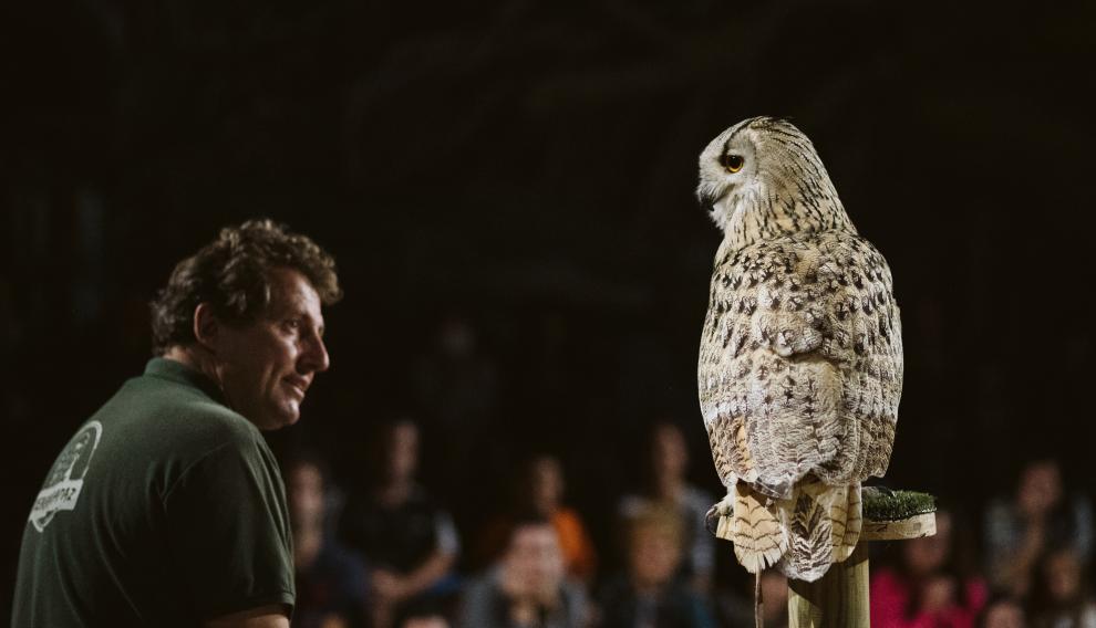 Tierra Rapaz atractivo turístico para los aragoneses