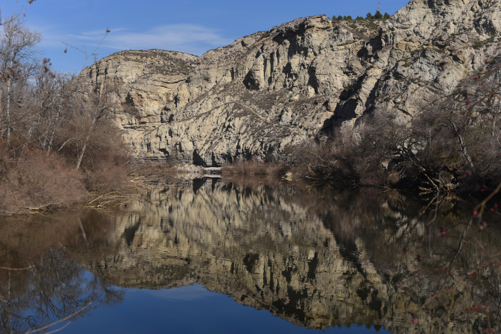 Galería de fotos: Día Mundial de los Humedales en el galacho de Juslibol