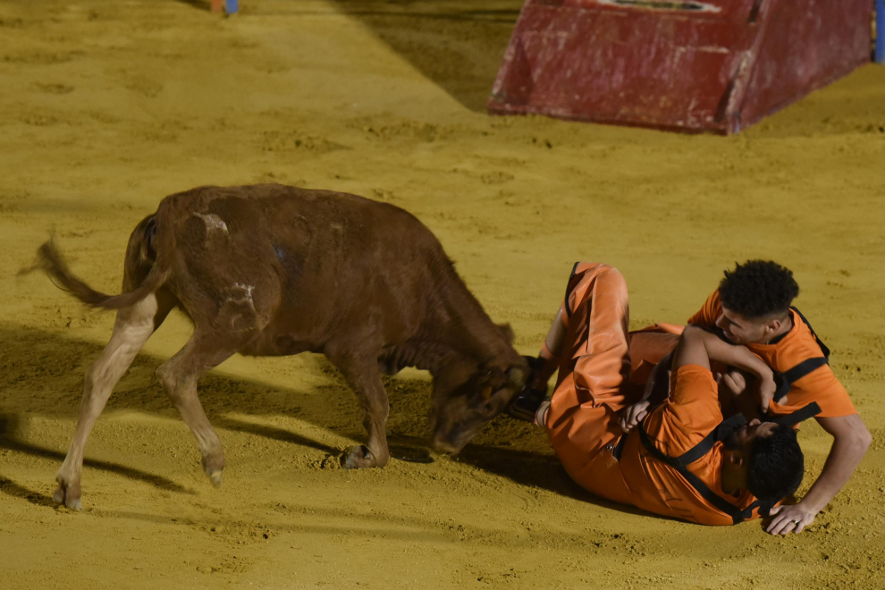 Imágenes del Grand Prix de las Peñas en la plaza de toros de Huesca ...