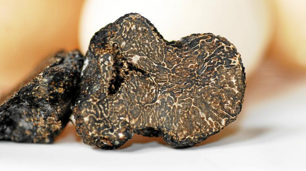 Trufa negra