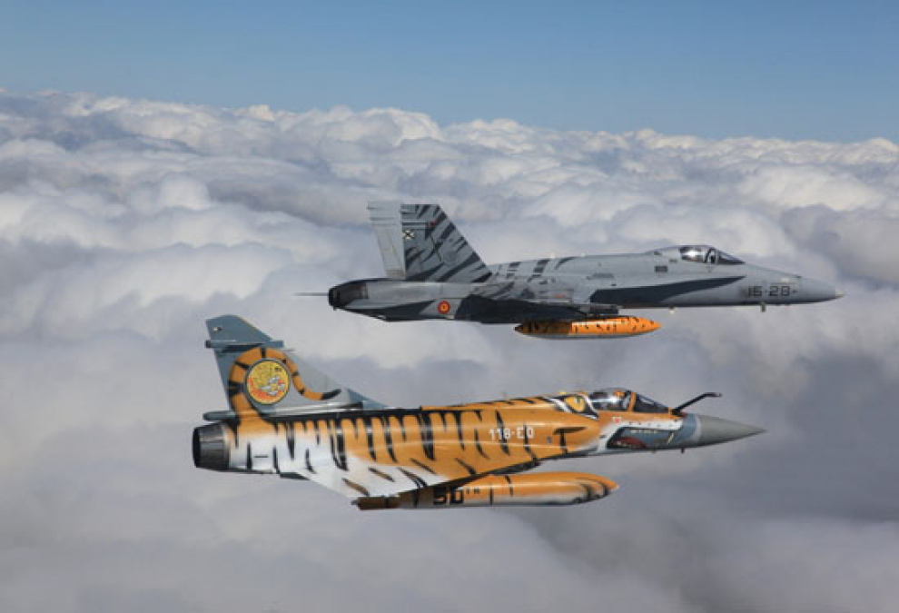 Tiger Meet | Imágenes