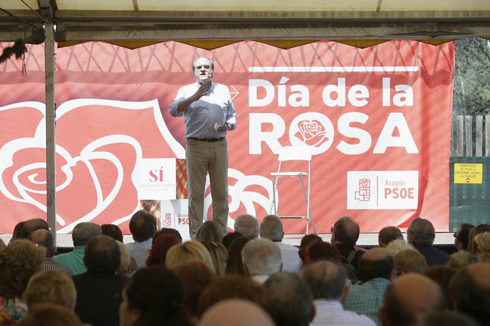 Día de la Rosa del PSOE-Aragón | Imágenes