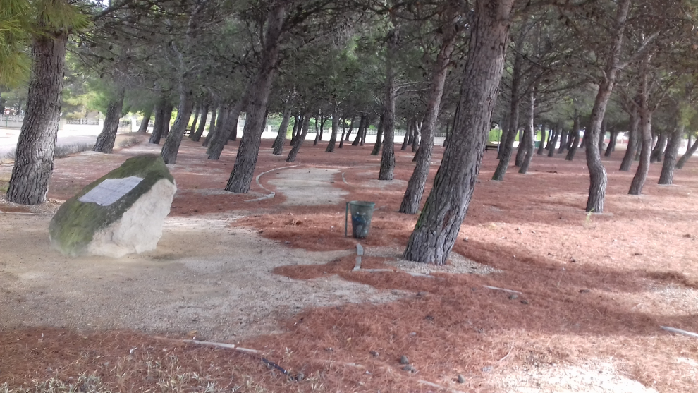 Pinaza sin recoger en Alto de La Muela | Imágenes