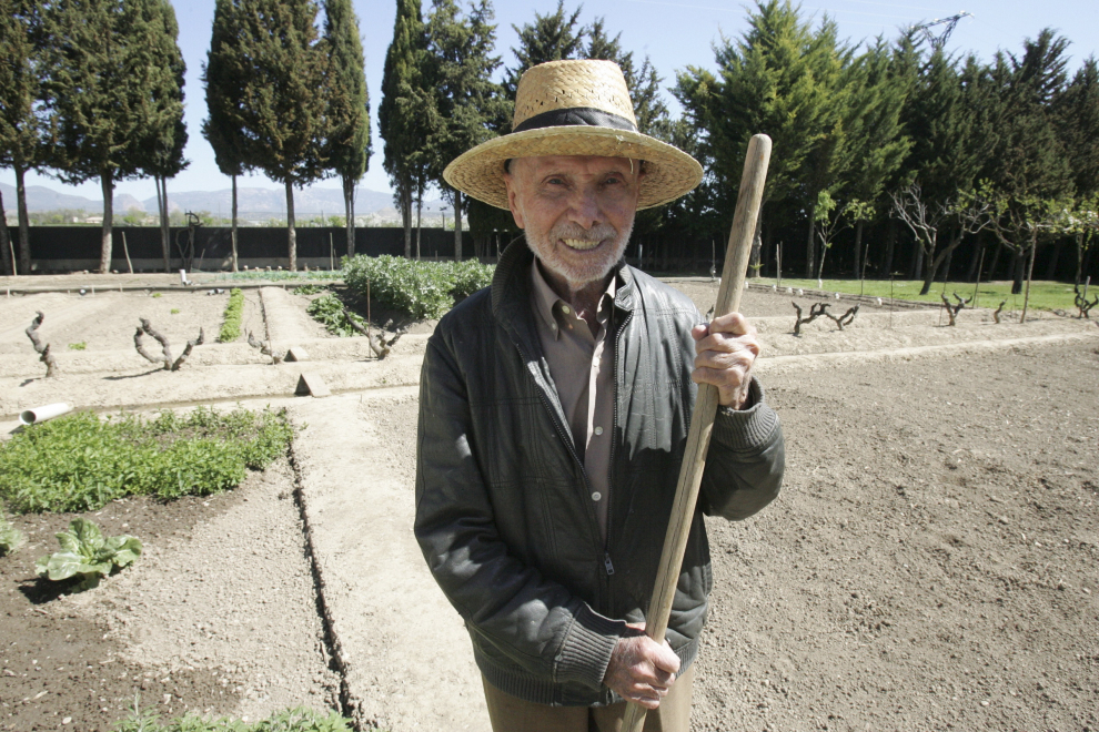 Muere el pintor José Beulas | Imágenes