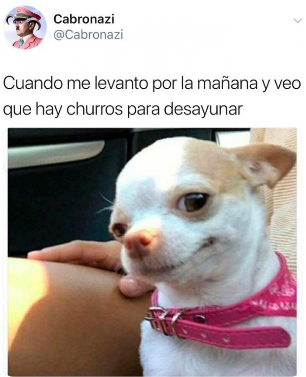 Los mejores memes de la semana | Imágenes