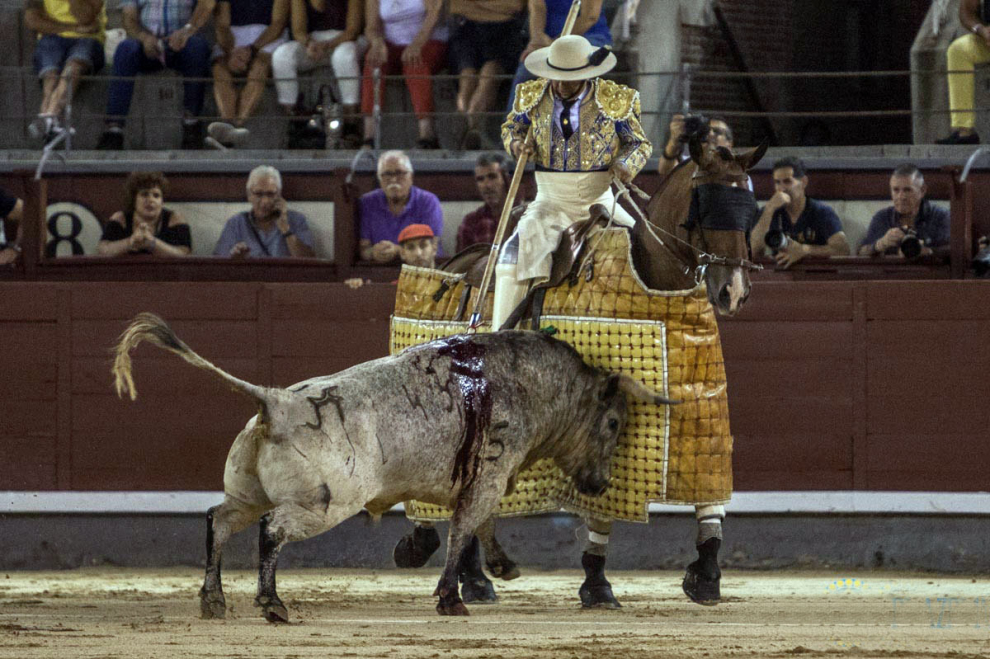Debut de los novillos de Los Maños en Las Ventas
