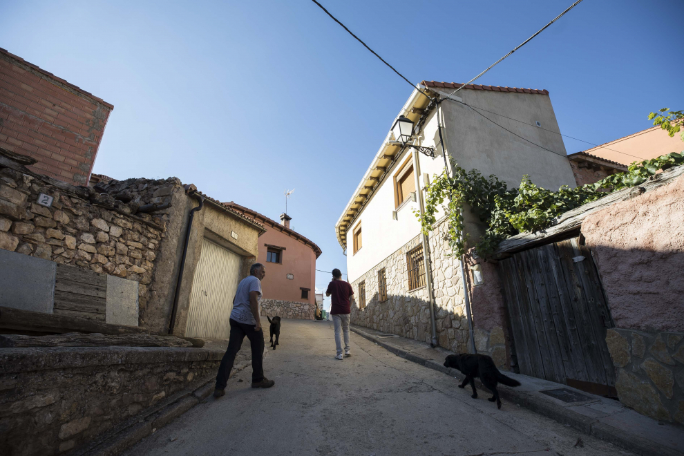 Fotos: Moscardón | Imágenes