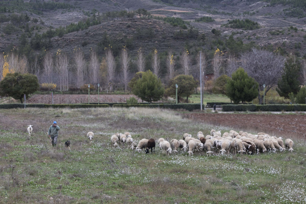 Martín del Río | Imágenes