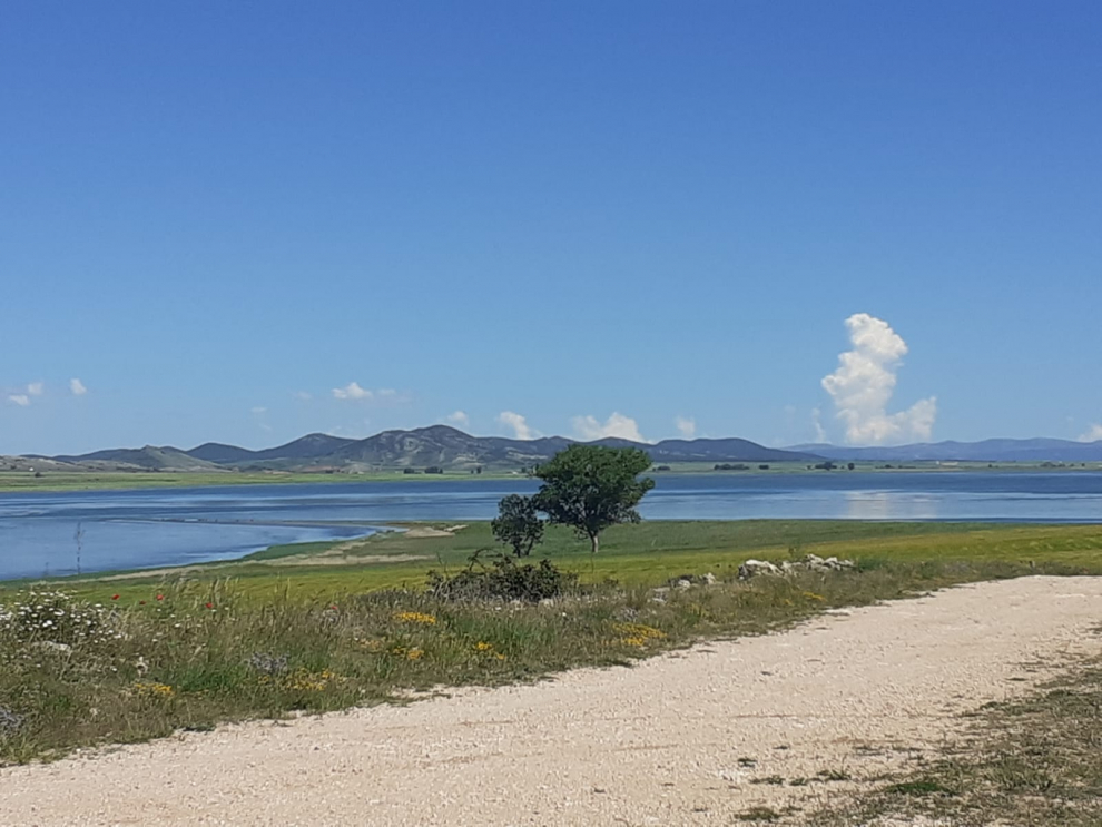 Fotos de la laguna de Gallocanta