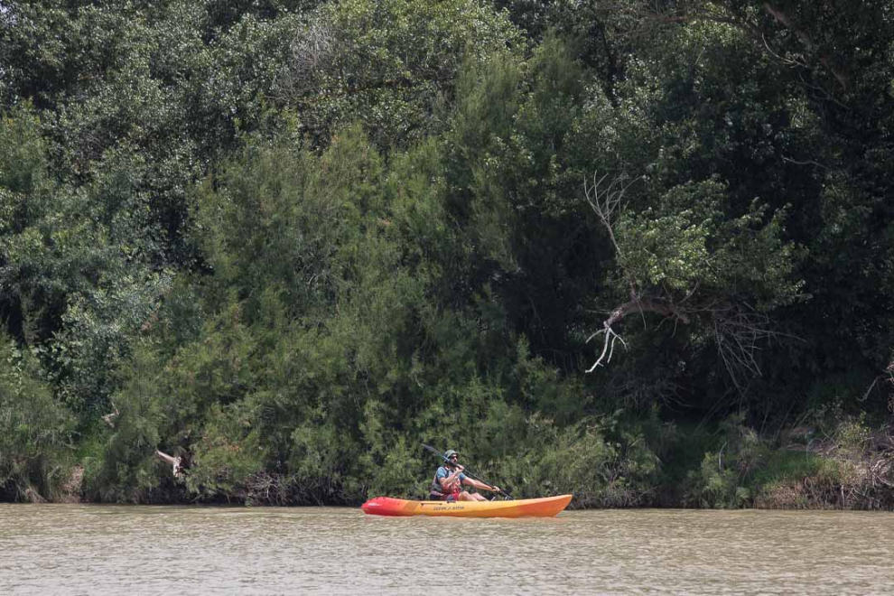 Fotos de Ebronautas en Aragón es extraordinario | Imágenes