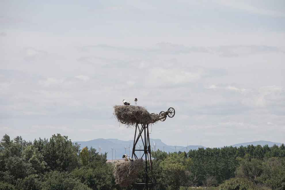 Fotos de Ebronautas en Aragón es extraordinario | Imágenes