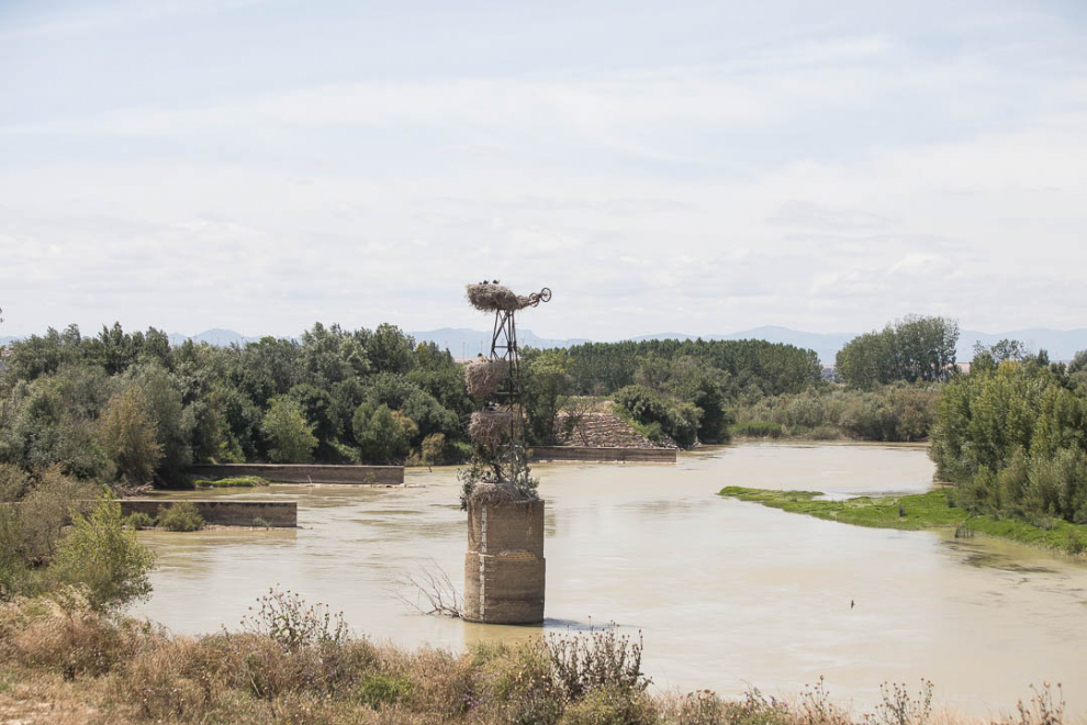 Fotos de Ebronautas en Aragón es extraordinario | Imágenes