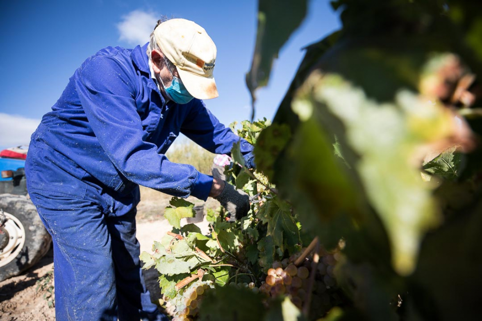Fotos de Bodegas Paniza