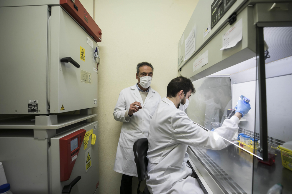 Carlos Martín, "padre" de la vacuna contra la tuberculosis MTBVAC ...