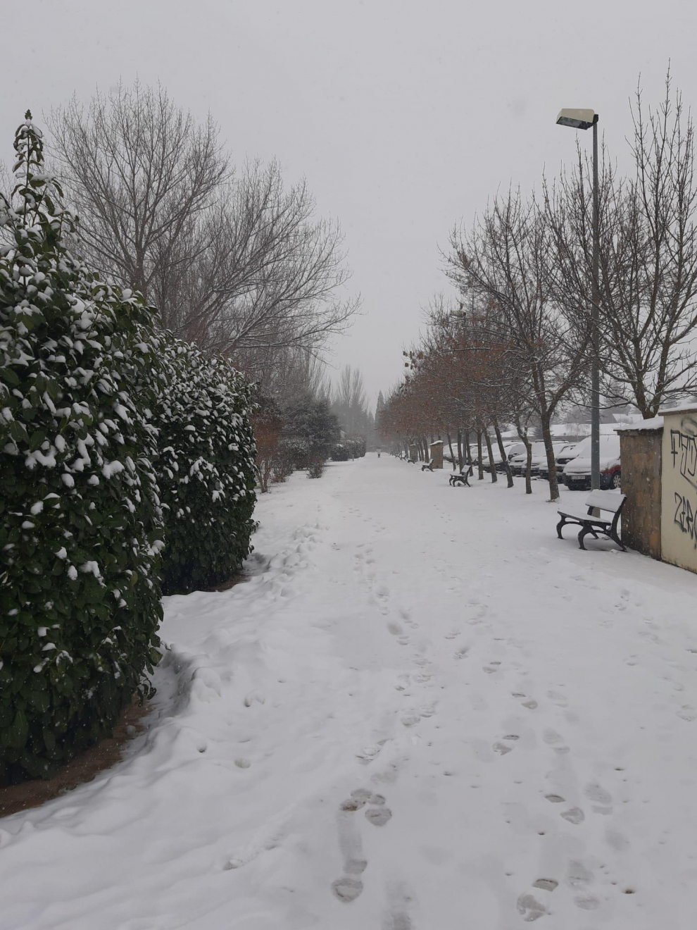 Foto: Nieve en Jaca de Filo (36735988) | Filomena también visita Jaca