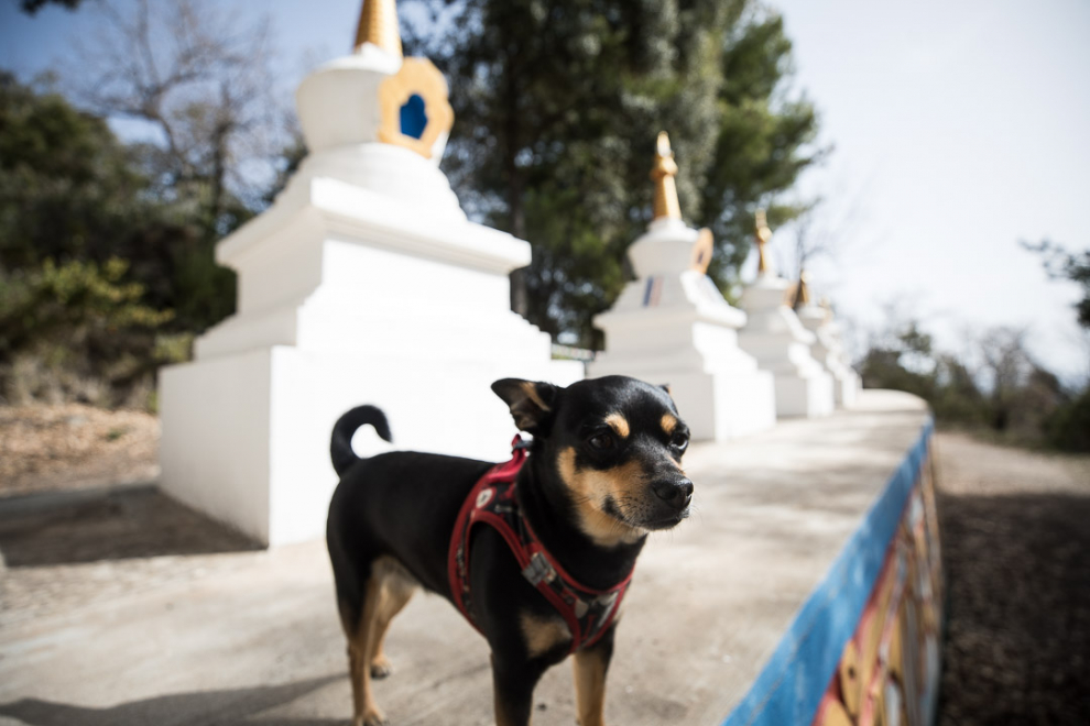 Fotos del centro budista Dag Shang Kagyu de Panillo en 'Aragón es ...