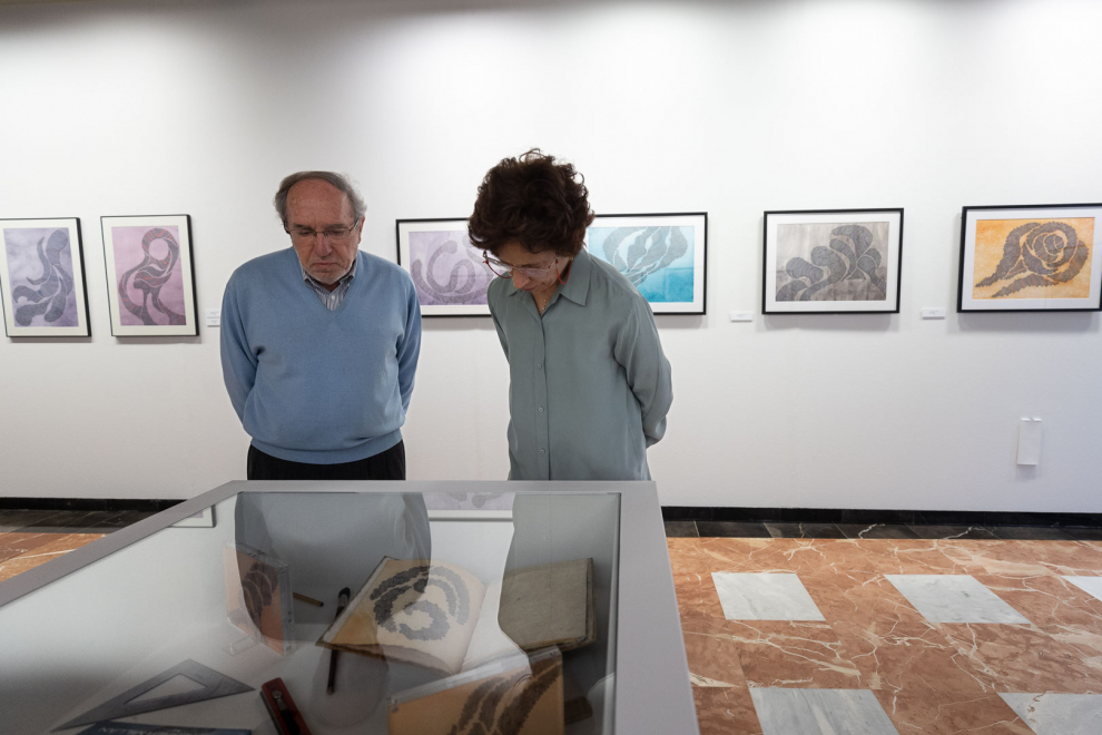 Fotos de la exposición del pintor zaragozano Joaquín Ferrer en el ...
