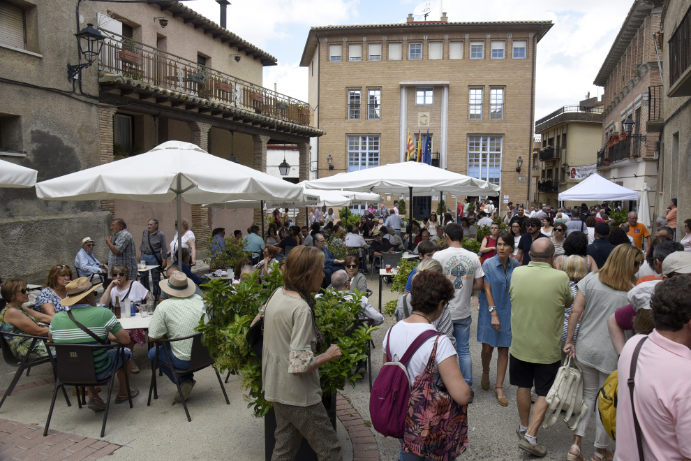 Fotos de la Feria de la Cereza de Bolea de 2023 | Imágenes
