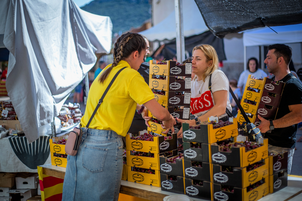El Frasno presume de cerezas | Imágenes