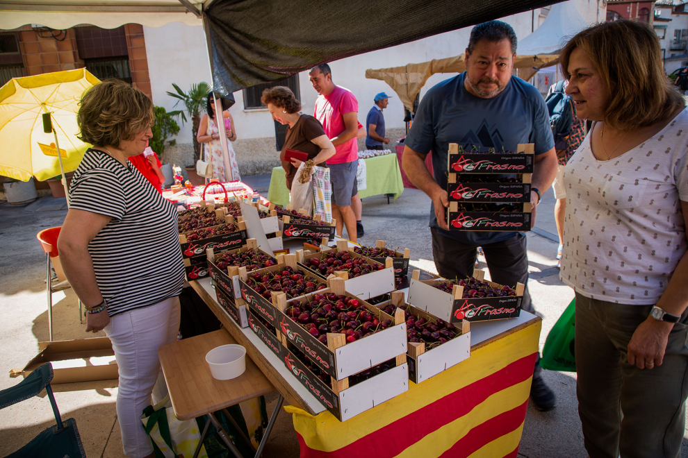 El Frasno presume de cerezas | Imágenes