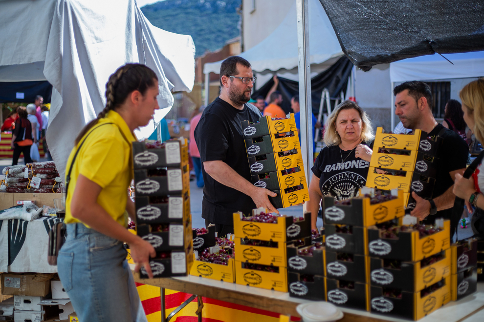 El Frasno presume de cerezas | Imágenes