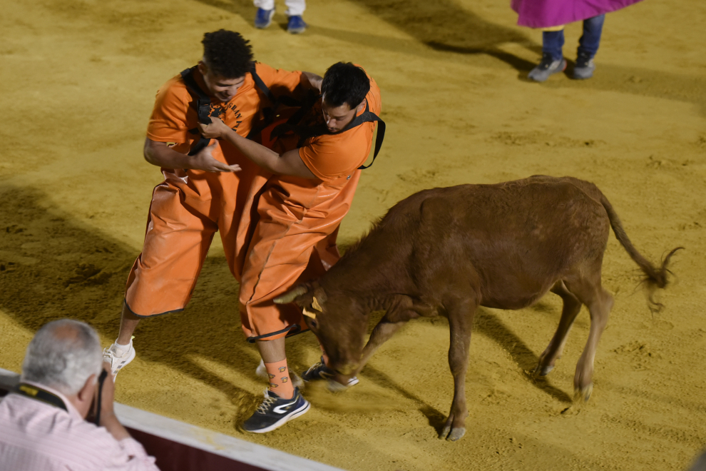 Imágenes del Grand Prix de las Peñas en la plaza de toros de Huesca ...