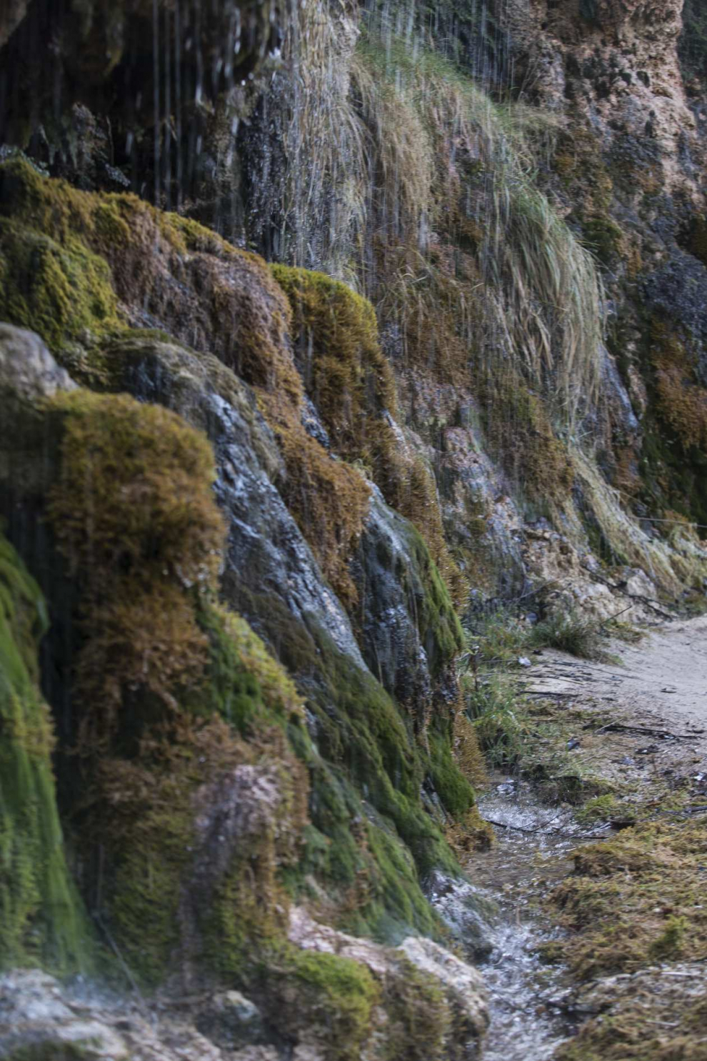 Fotos de los nacederos y manantiales que se pueden disfrutar en Aragón