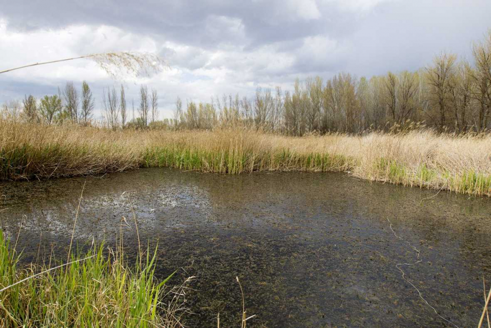Fotos de los nacederos y manantiales que se pueden disfrutar en Aragón