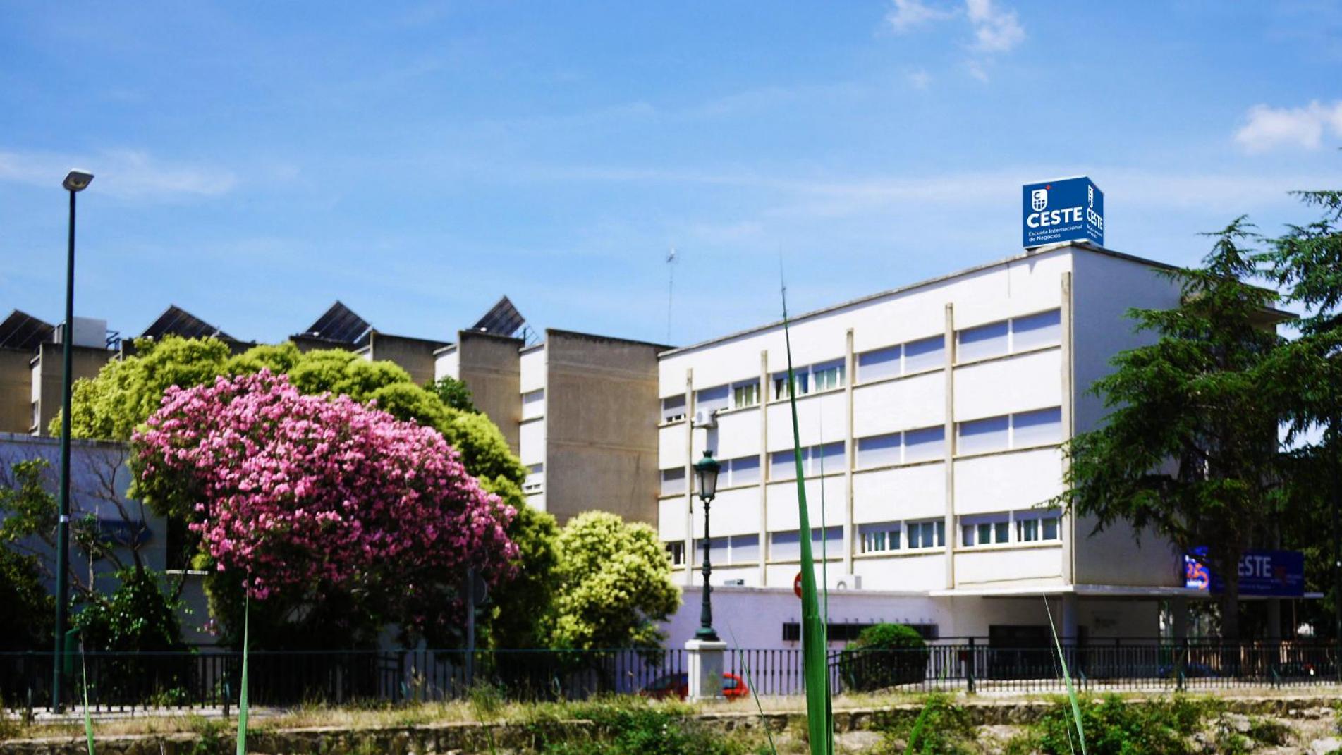 Formación para directivos: conoce el nuevo curso de CESTE, gratuito y ...