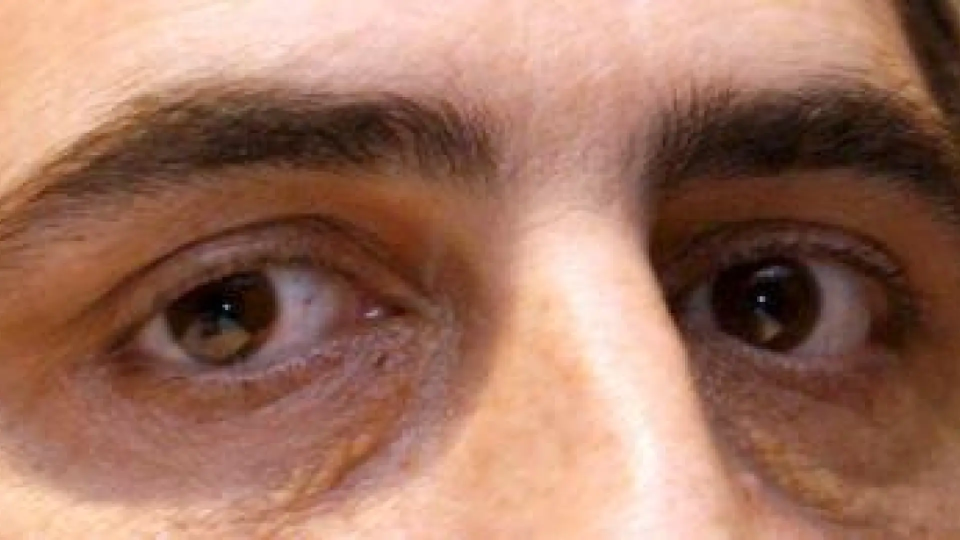 Estudian qué es innato y qué no en la aptitud de un gran memorizador