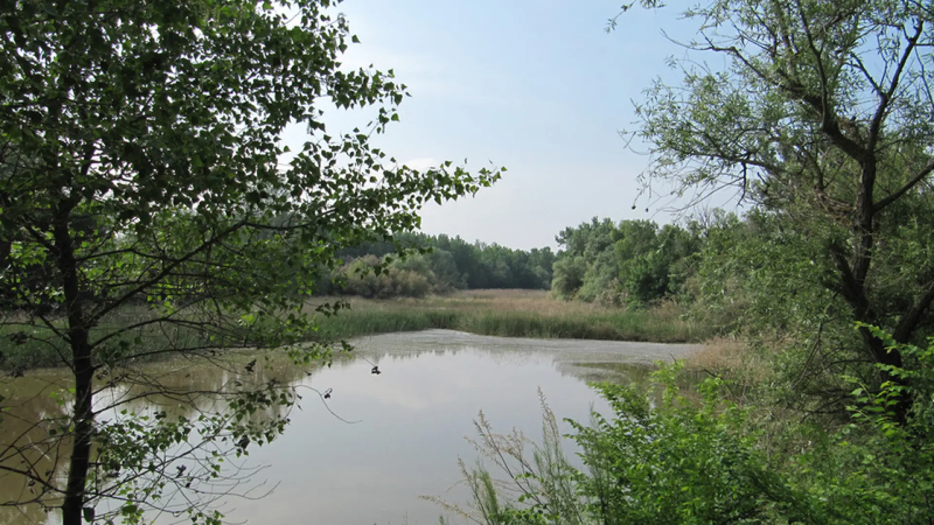 El galacho de Juslibol, un paraíso que cumple medio siglo