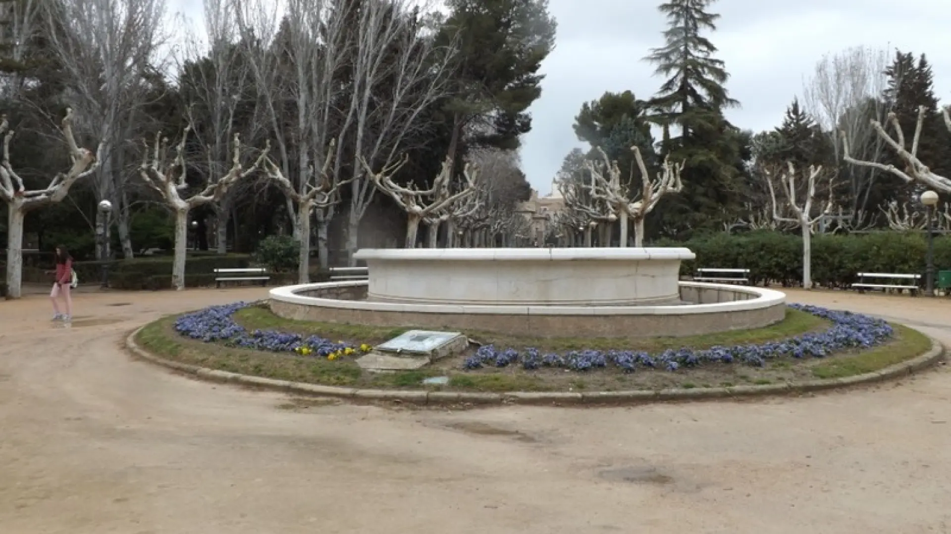 San José pide un parque sin charcos y con árboles sanos