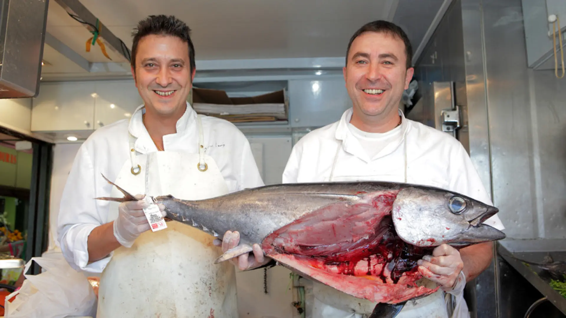 El bonito del norte, el más guapo de la familia de los túnidos