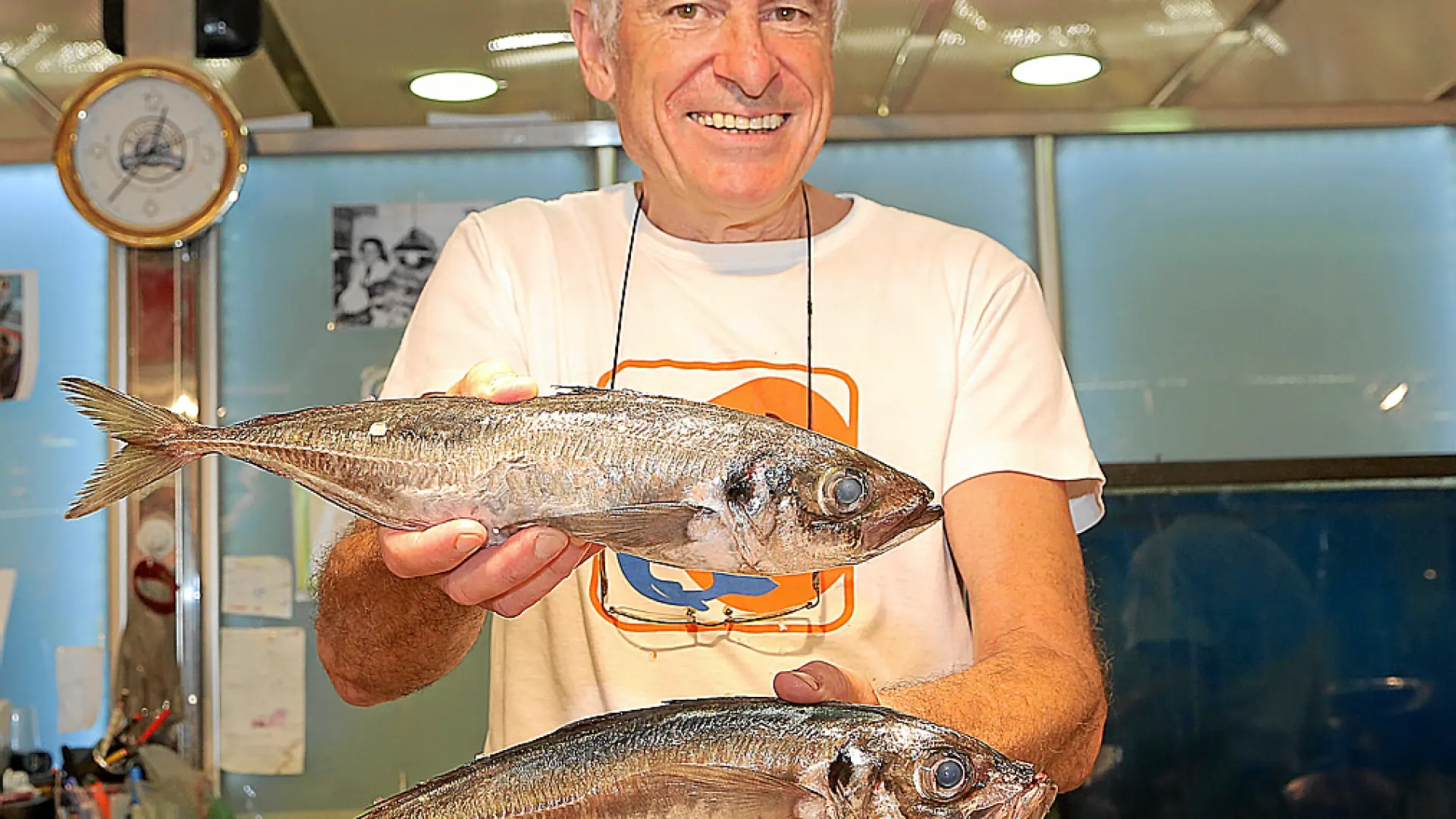 Chicharro, tan saludable y sabroso como poco valorado | Noticias de ...