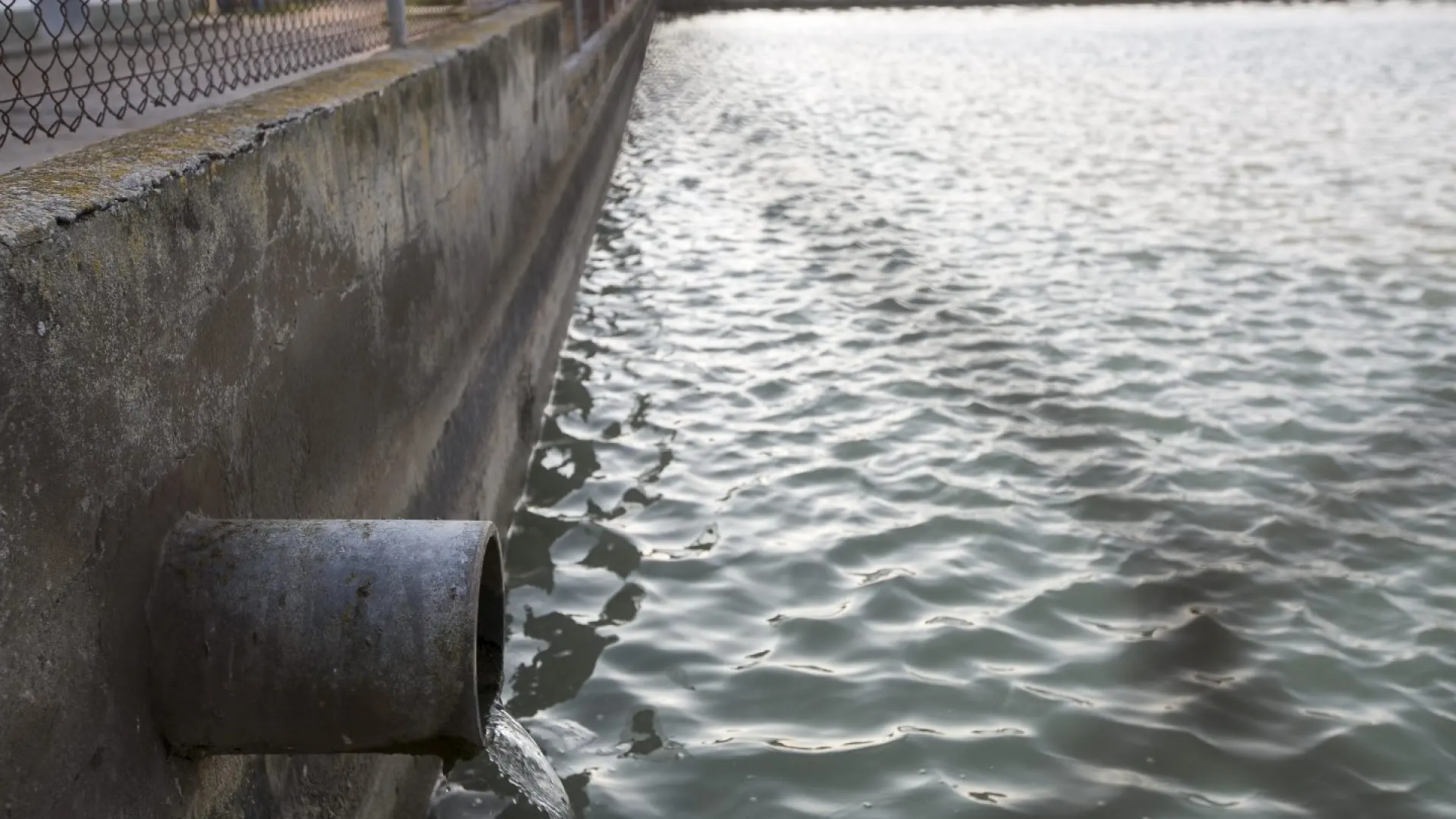 ?La OMS alerta de que el uso de lindano y DDT como pesticidas puede ...