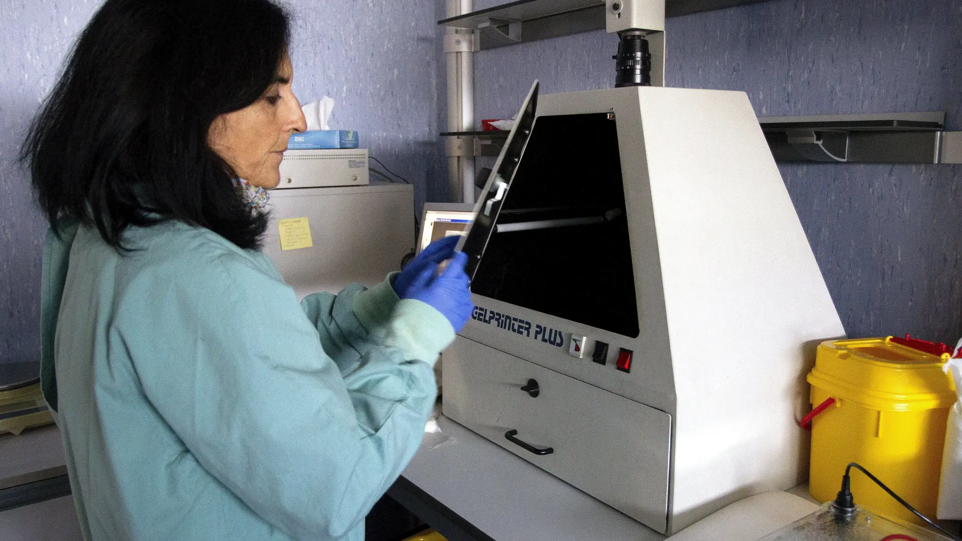 Sánchez-Seco: "Ahora se investigarán vías diagnósticas y la conducta ...