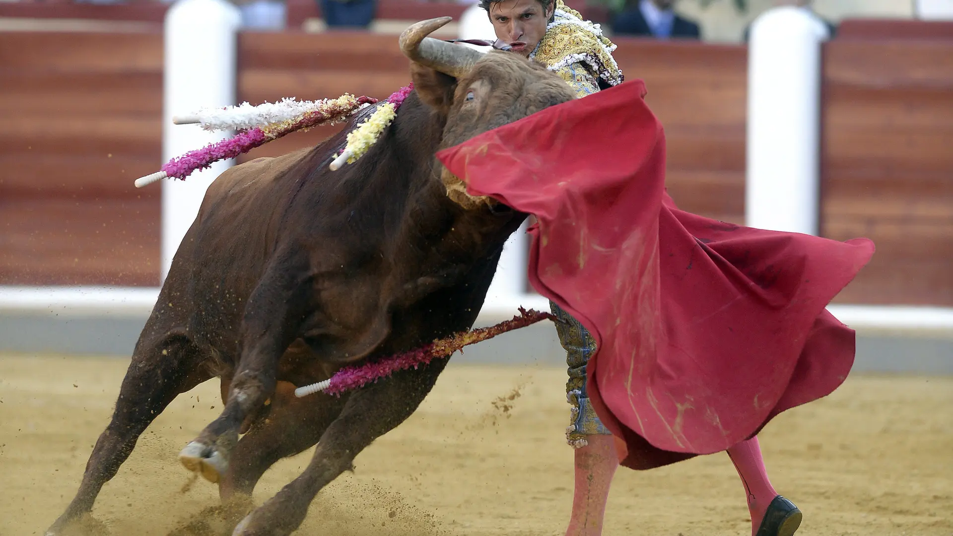 El Juli, Premio Nacional de Tauromaquia 2023