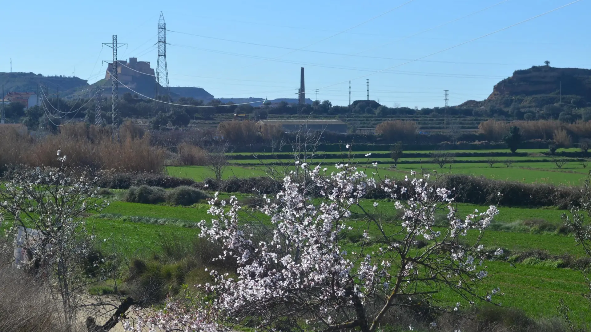 ?El INAGA avanza en el expediente electrónico | Noticias de Aragón en ...