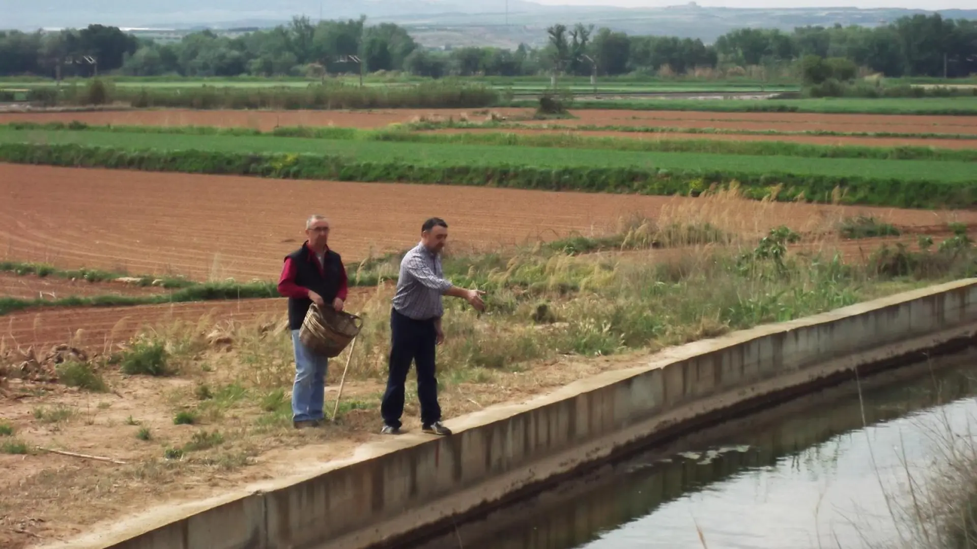 El Trallo, una tradición única que aspira a ser declarada Bien de ...