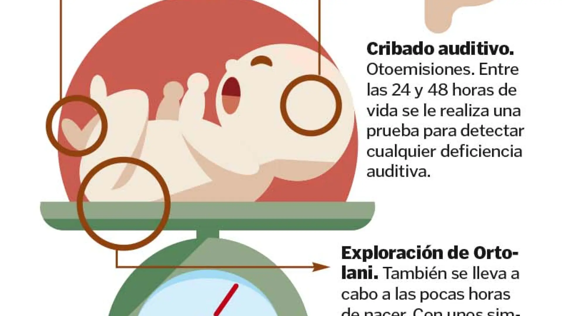 Aragón mejora el programa de cribado neonatal para detectar ...