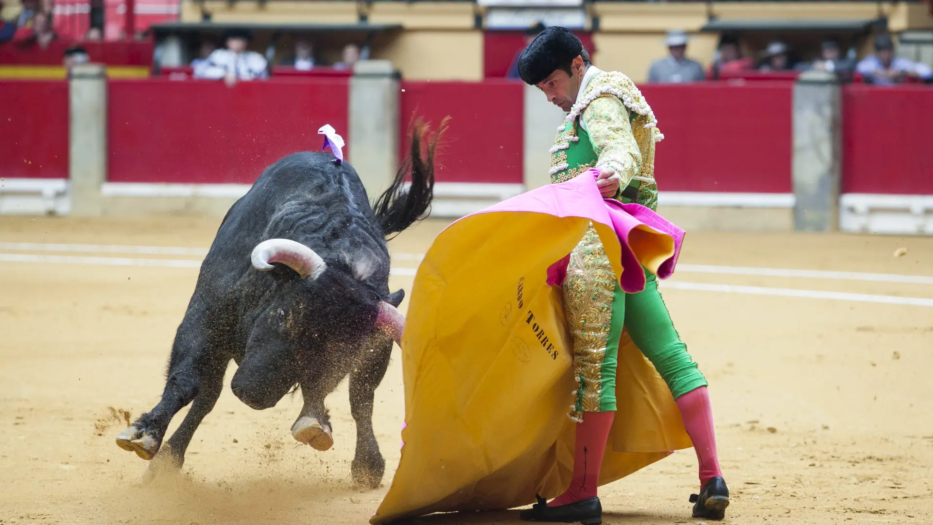 El aragonés Ricardo Torres torea este domingo en las Ventas | Noticias ...