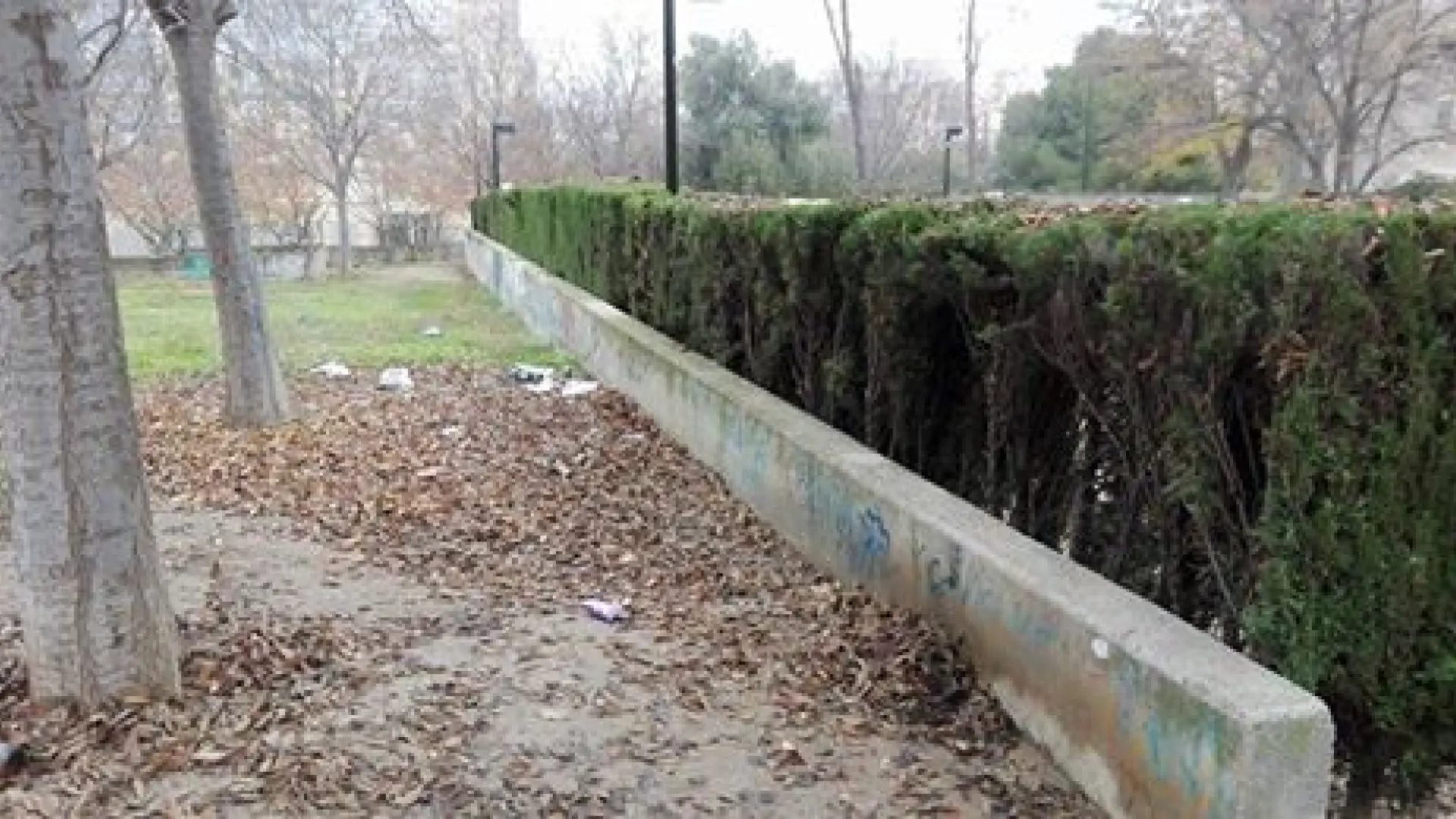 Ratificada La Condena A Una Pareja De Zaragoza Por Falsa Agresión