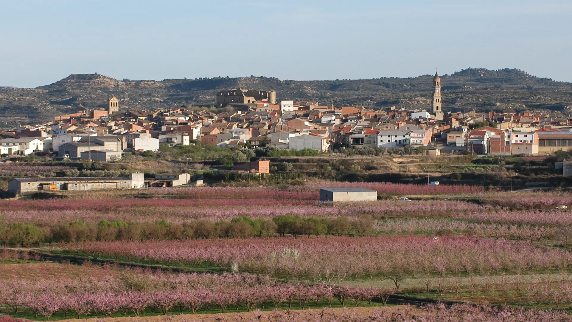 Absuelven a un vecino de Maella que fue acusado de acuchillar a otro