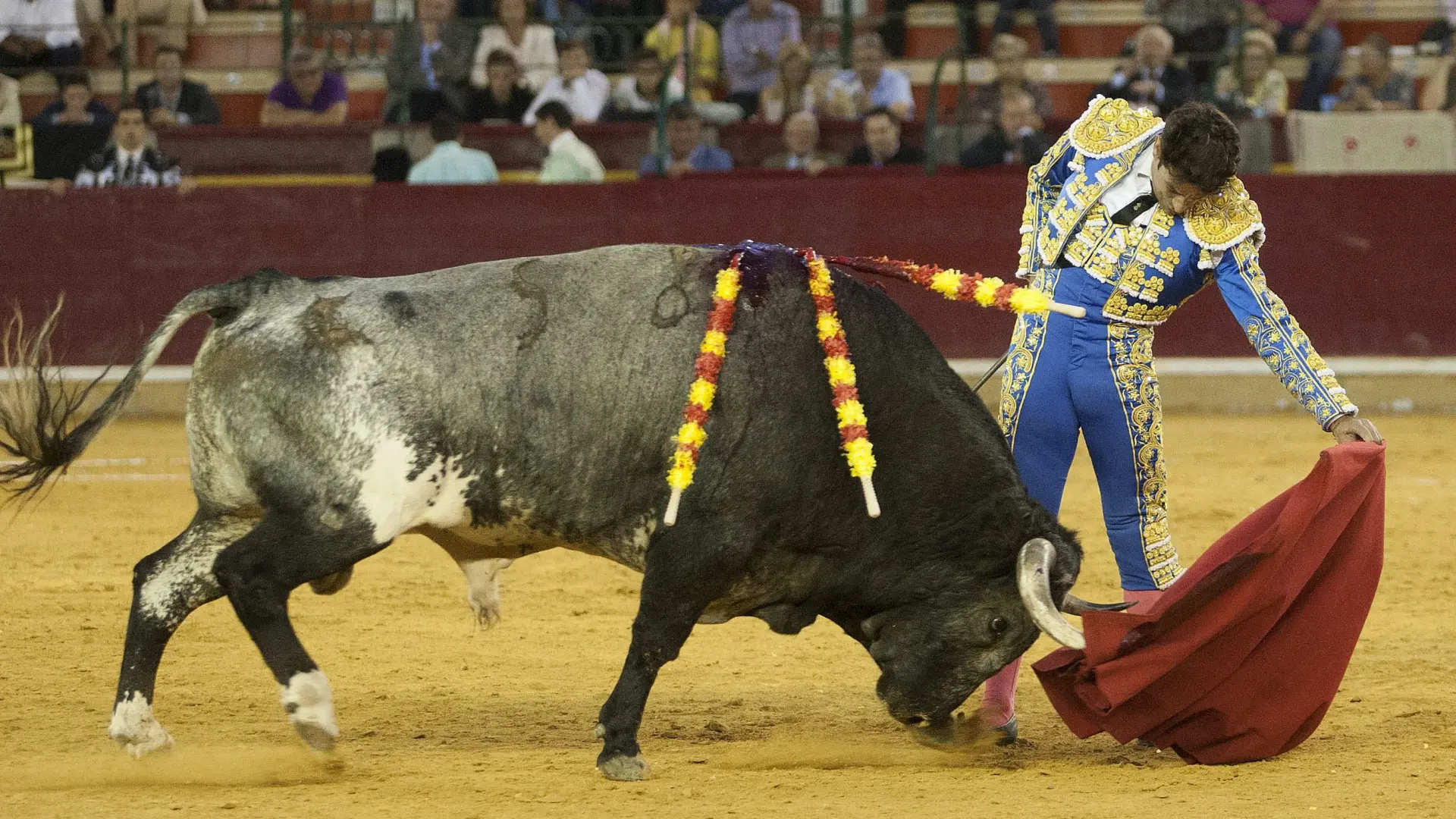 El aragonés Ricardo Torres se cae de San Isidro por la rotura de un ...