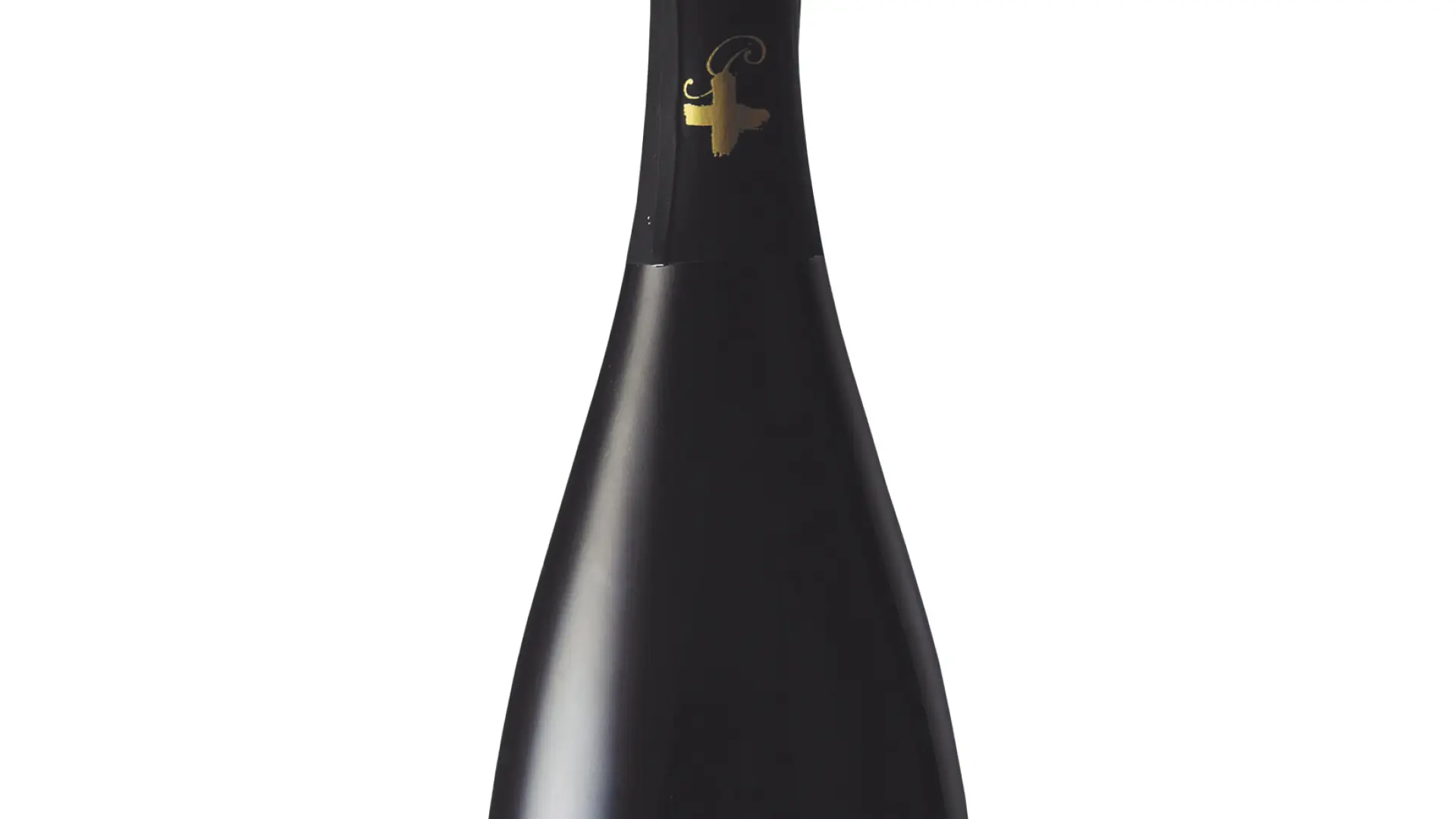 Cinco cavas aragoneses para triunfar estas navidades | Noticias de ...