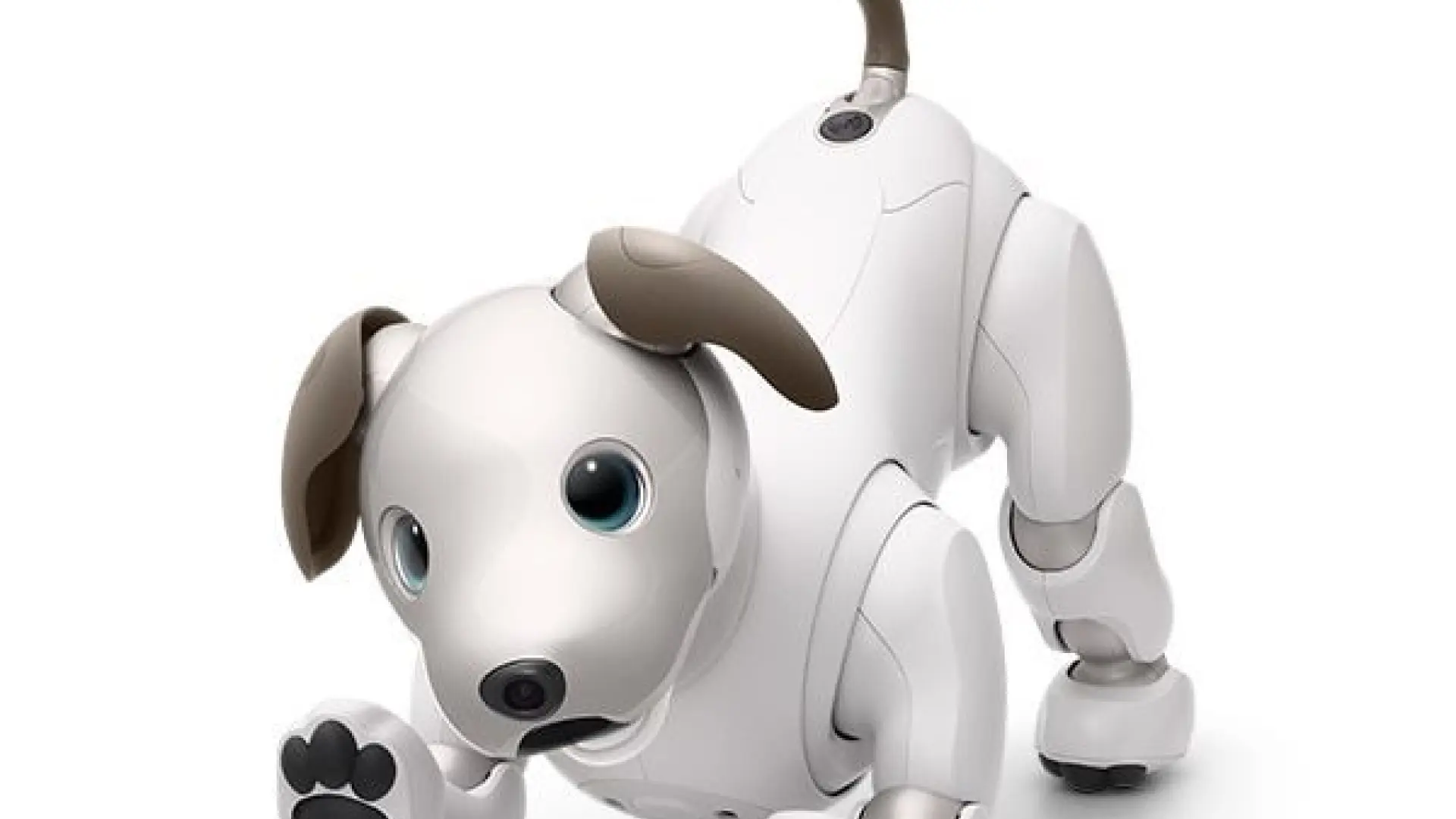 Sony presenta una versión "policía" de su perro-robot Aibo | Noticias de en Heraldo.es