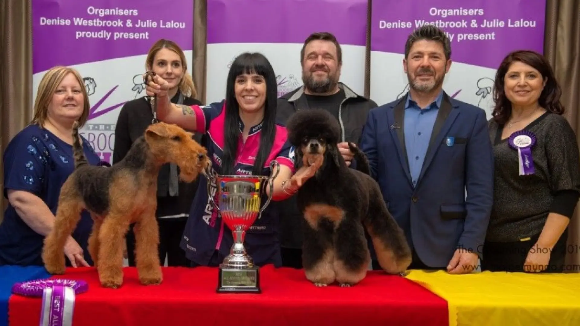 Sonia Luengo, la peluquera canina zaragozana que triunfa en Europa ...