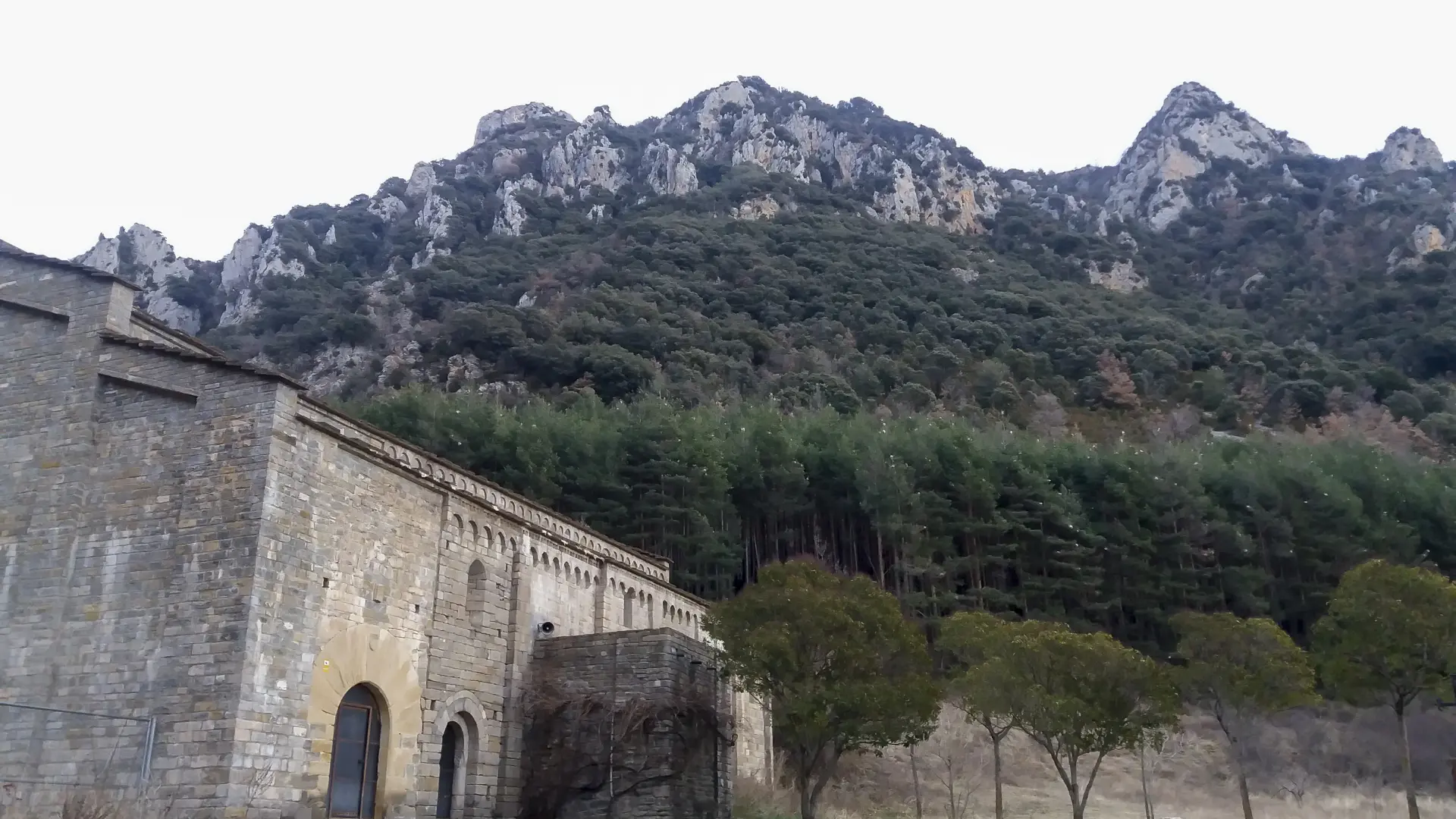 La procesionaria invade el Monasterio de Obarra | Imágenes