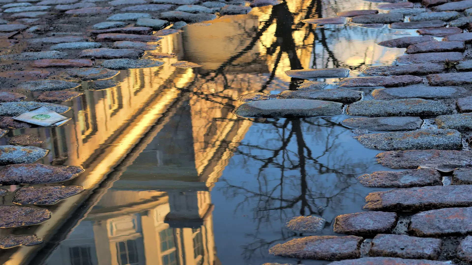 Los charcos, lugar más propicio para que la vida surgiera en la Tierra